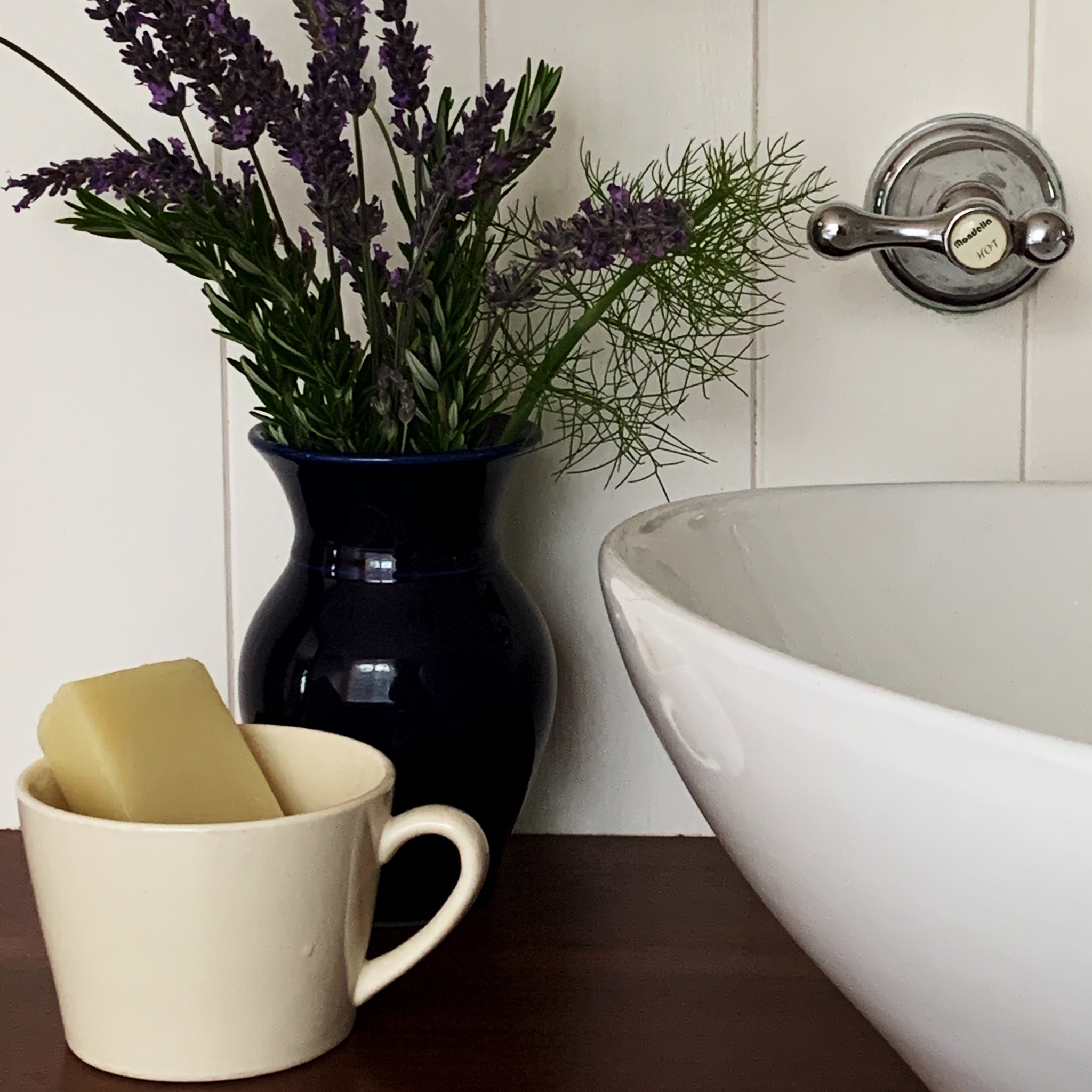 Greener Alternatives Book. | fairywrencottage.com