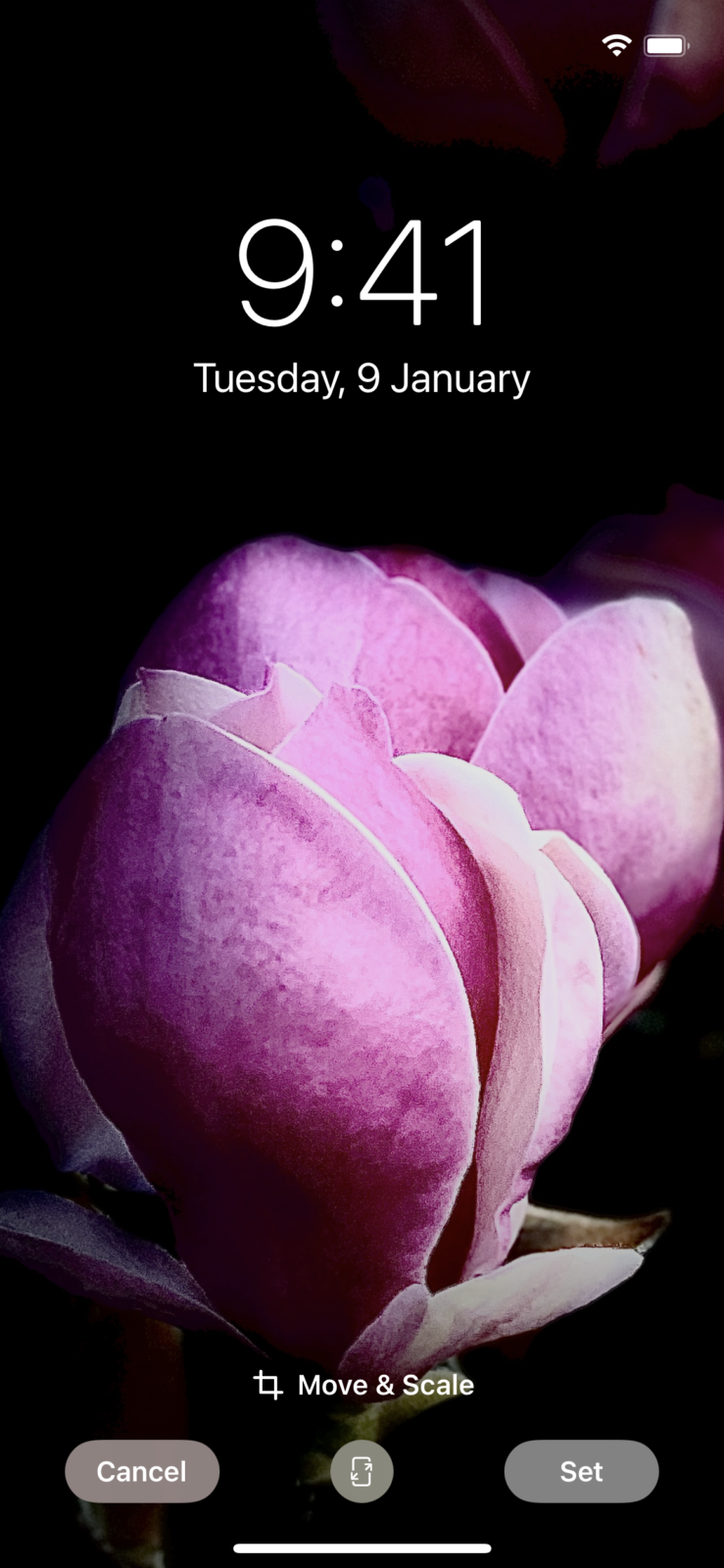 More Screensavers. | fairywrencottage.com