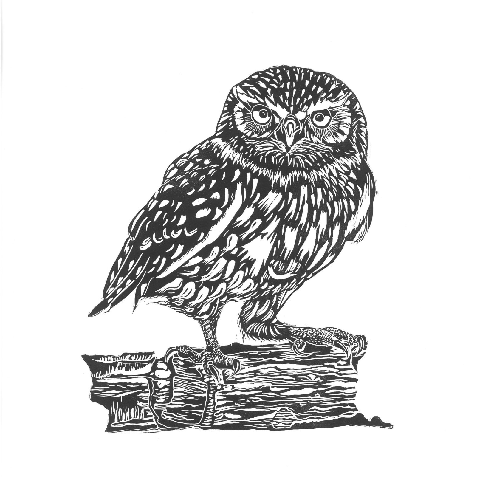 Interview Series: Deborah Vass, Artist & Printmaker. | fairywrencottage.com